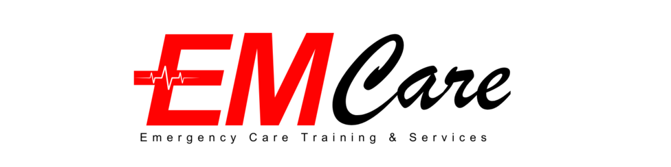 Expert Emergency Care Training - Empowering Skills for Lifesaving Impact!